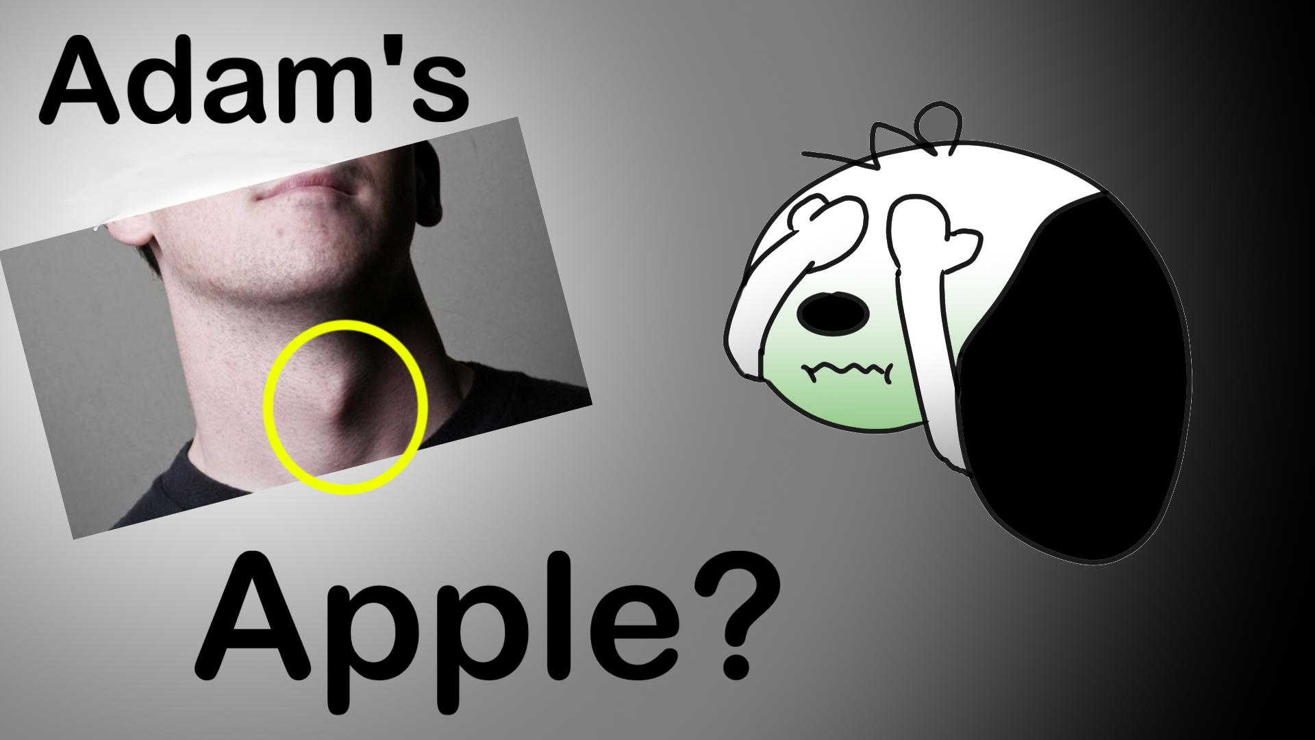 Why that Bump on the Neck is called an Adam’s Apple! – The Thinking Hound