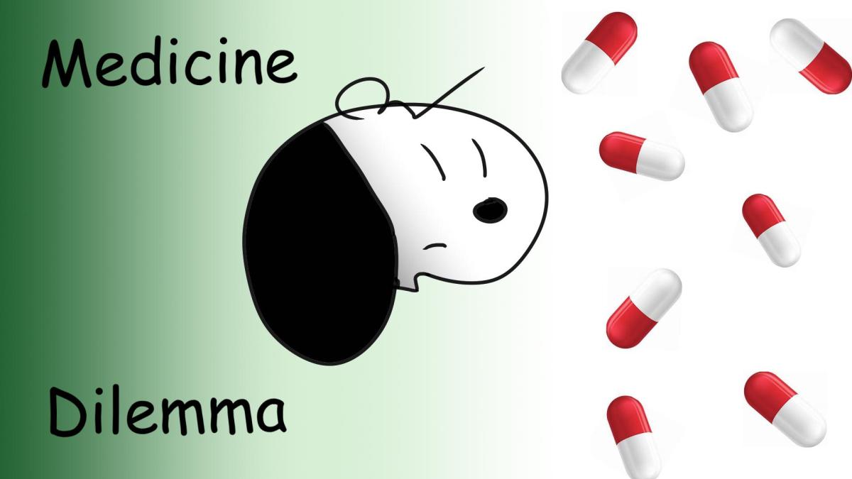 A Medicine Dilemma | Riddle #14 – The Thinking Hound